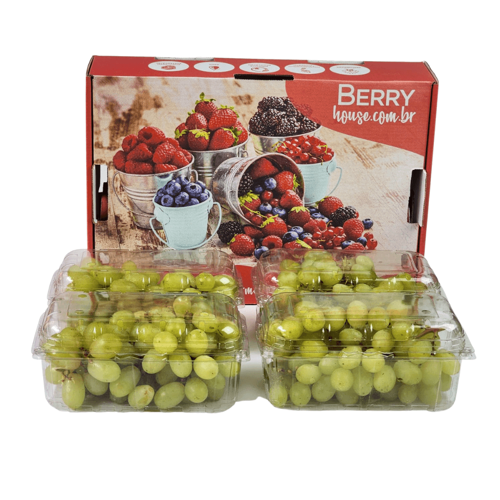 Compre Kit Uva Thompson Fresca 4 potes 2kg | Berry House
